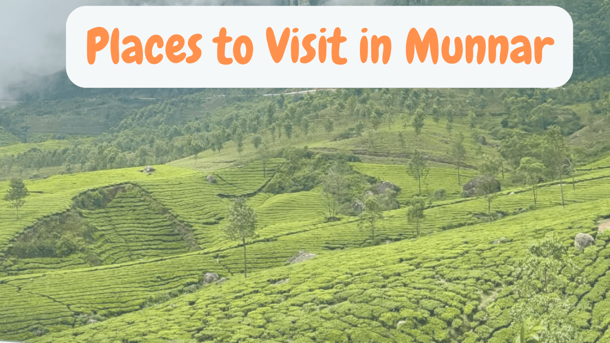 2025 Munnar Travel Picks – Waterfalls, Tea Estates & Hill Views ...